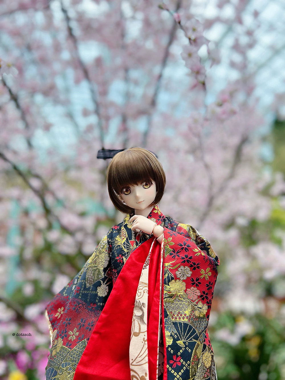 Sakura at Gardens by the Bay – Singapore - Dotz Soh