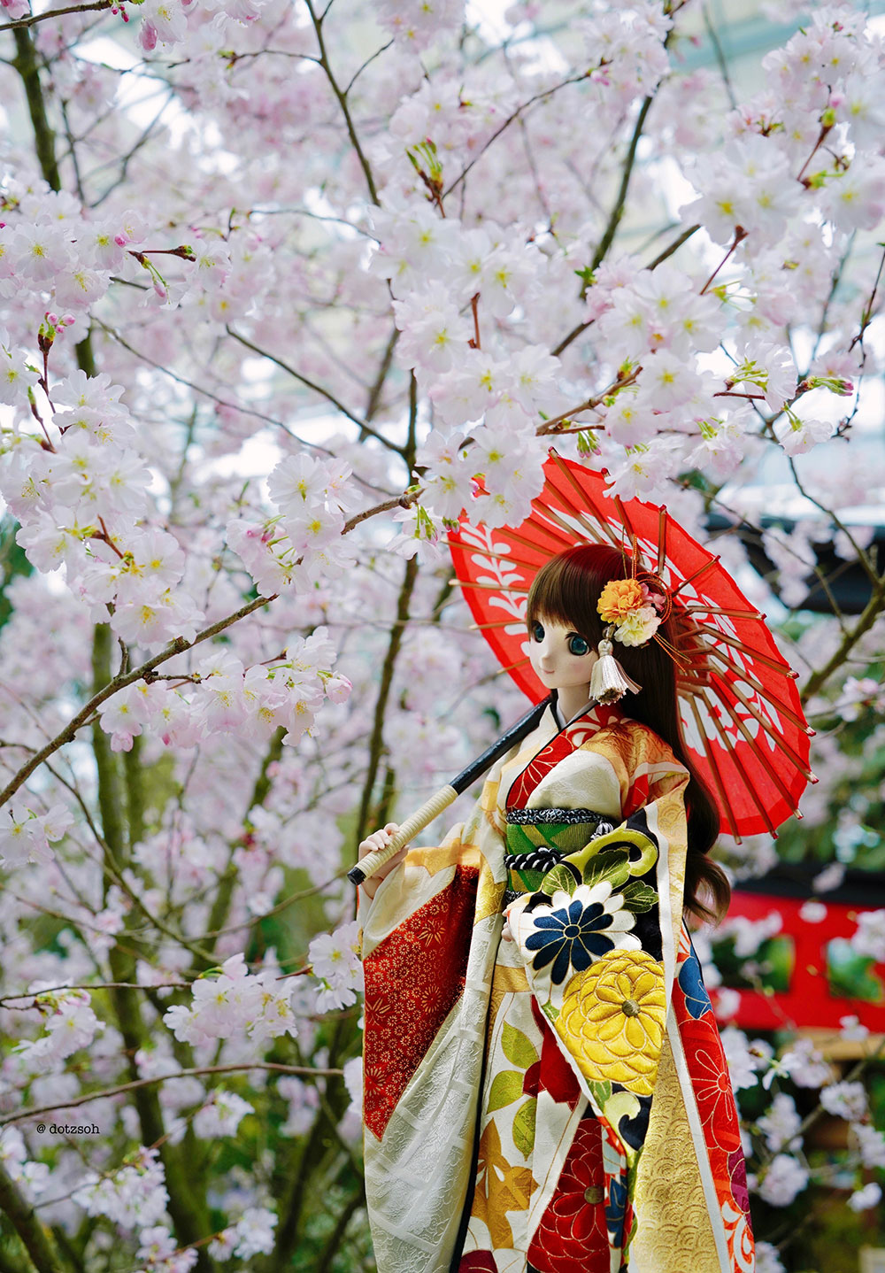 Sakura at Gardens by the Bay – Singapore - Dotz Soh