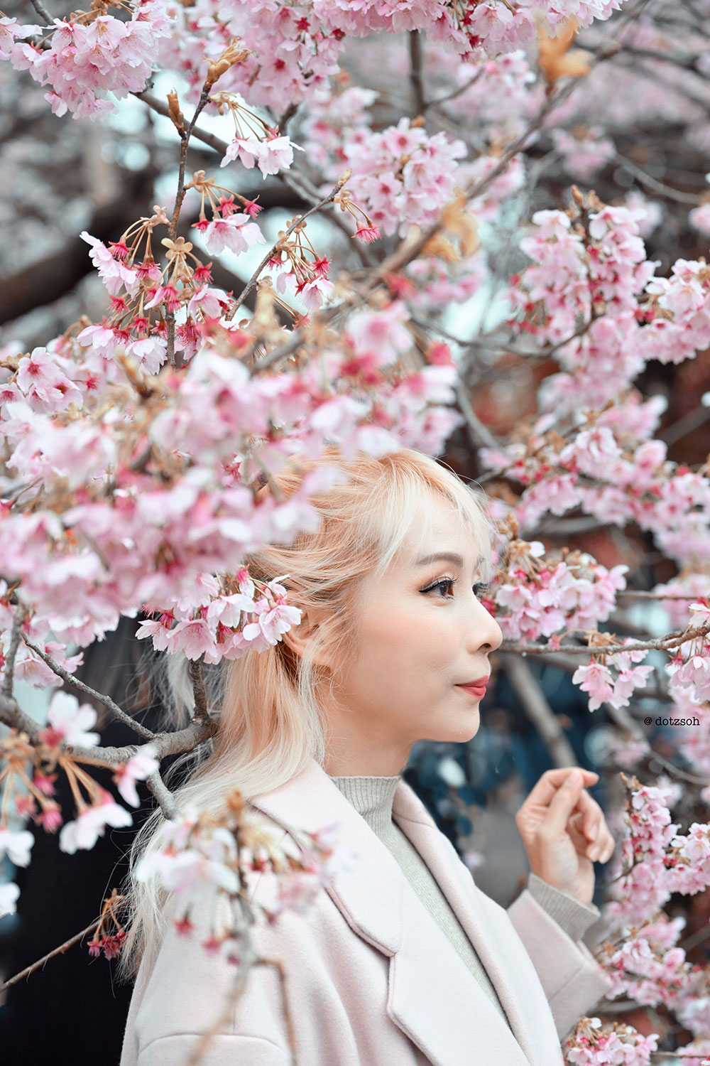 Sakura Season in Tokyo with Nikon Z8 - Dotz Soh